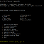 Secret PSADMIN feature you didn’t know about | PeopleSoft Tutorial